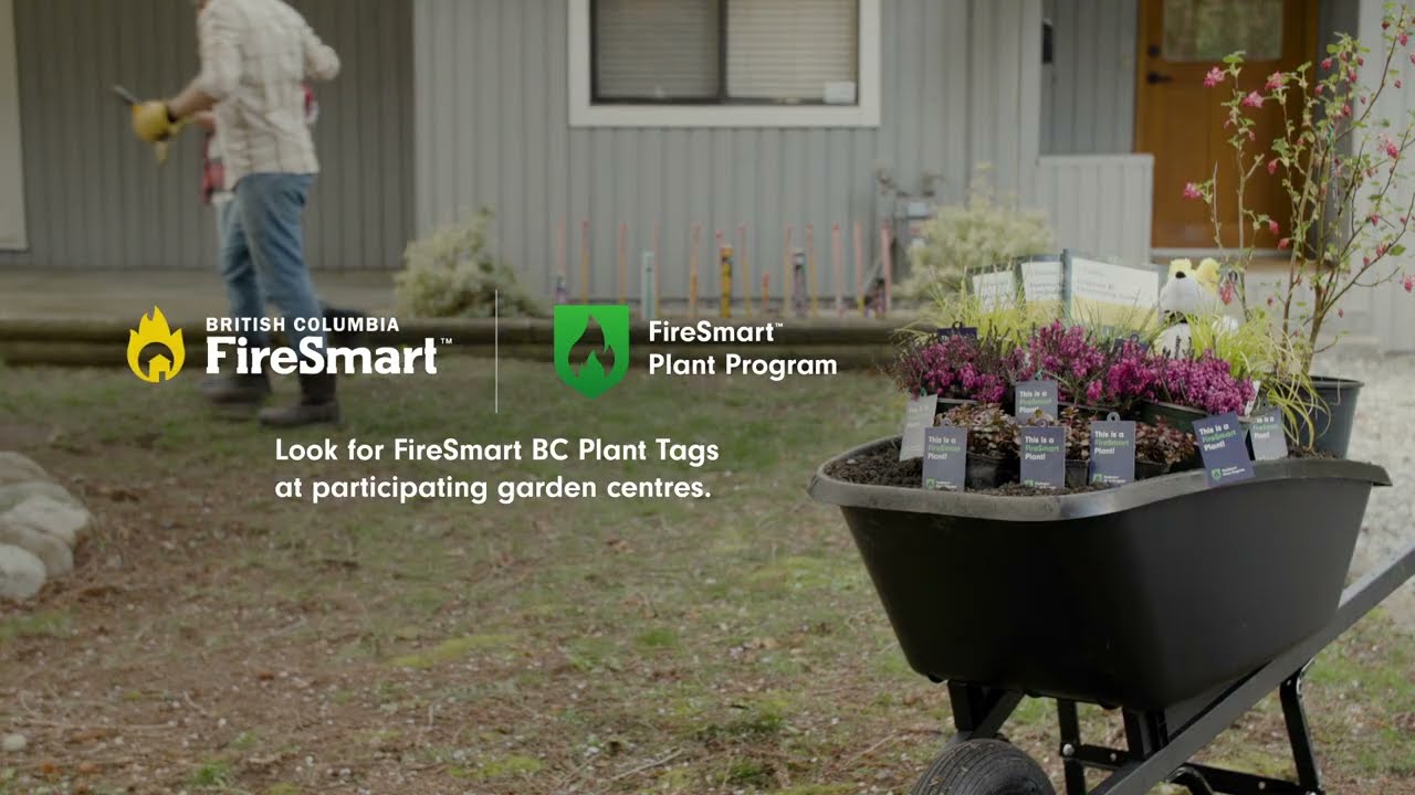 FireSmart Plants Program: Firework Flowers
