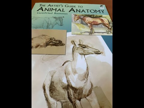 Old Great Drawing Book For Studying Animals - The Artist's Guide to Animal Anatomy - Book Review