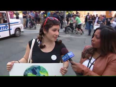 Hundreds attend NYC March For Science