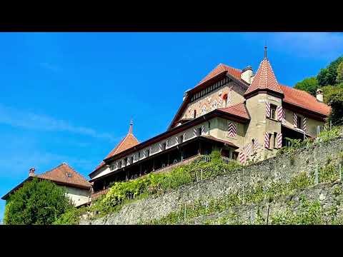UNESCO World Heritage Lavaux Wine Terraces