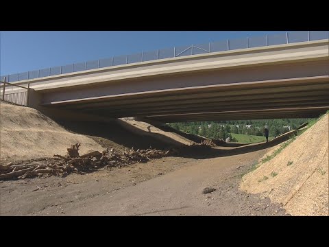 New wildlife underpass at I-70 & Genesee built for animal, drivers' safety