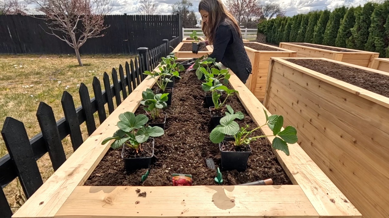 I’ve Wanted to Do This Project for SO Long!!! The MOST Epic Strawberry Beds! 🍓😍🍓
