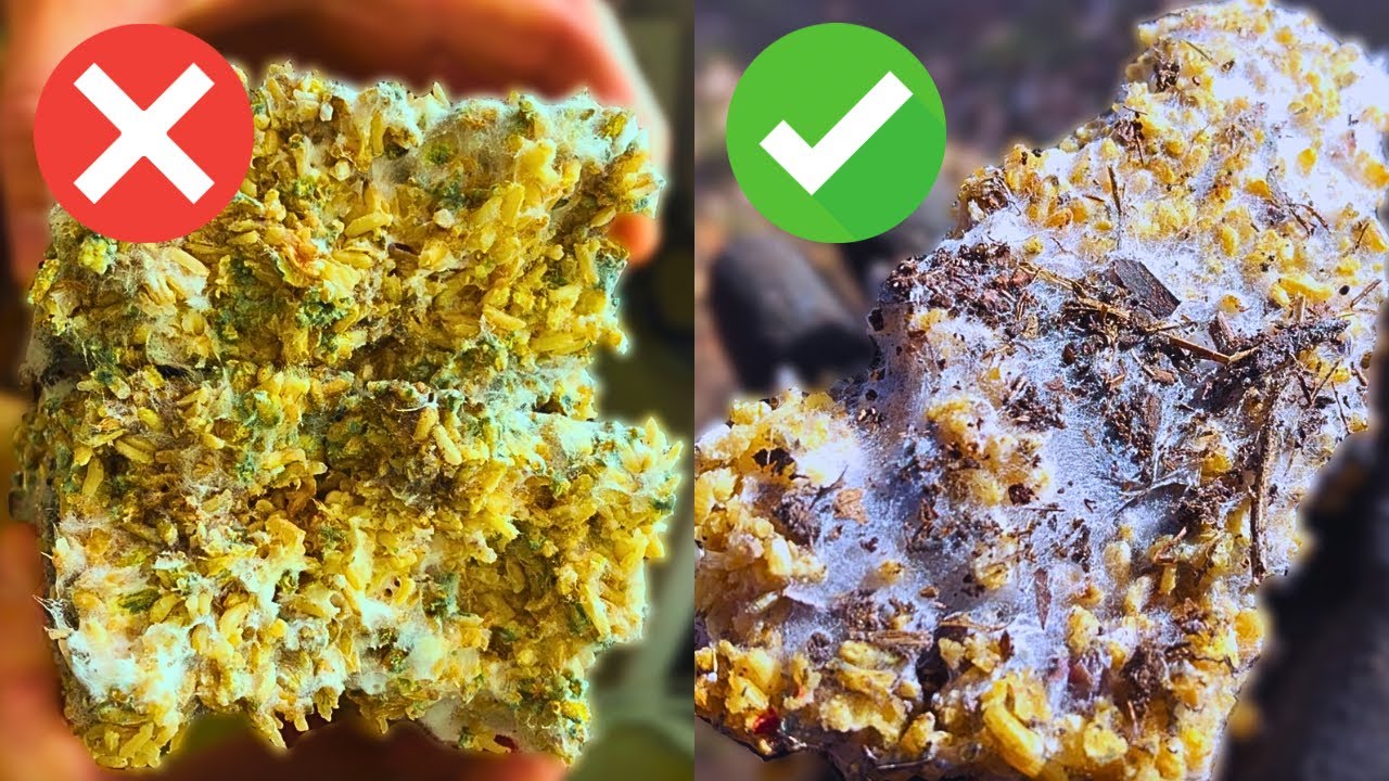 The EASIEST Way to Collect Perfect IMO Every Time for Amazing Soil Health