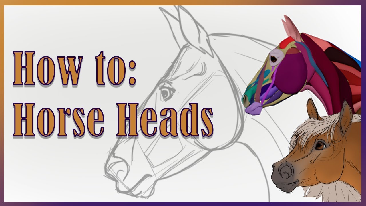 How To Draw Horses // Tutorial // Anatomy Guide