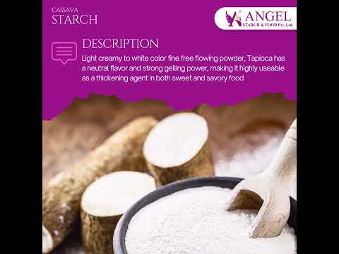 Angel Starch And Food Private Limited - Manufacturer of Starch Powder ...