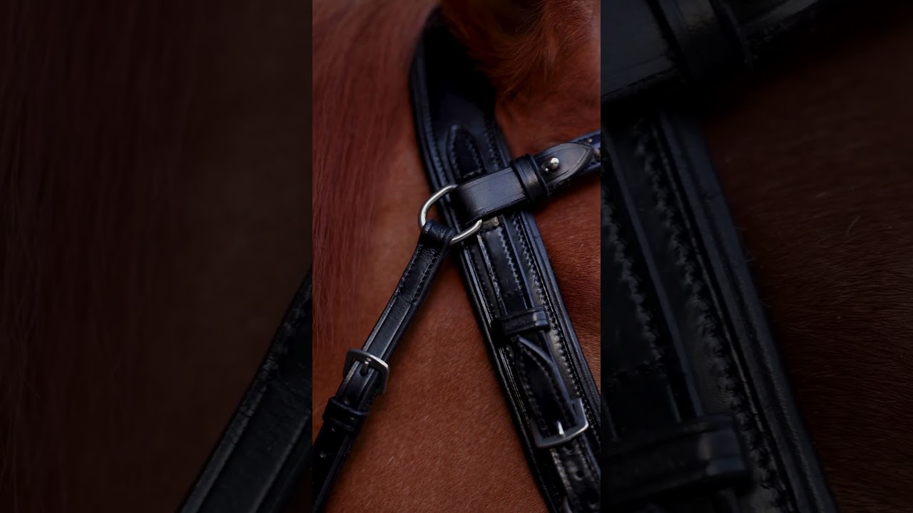 MEXICAN BRIDLE MONACO