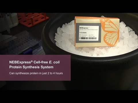Introduction to the NEBExpress® Cell-free Protein Synthesis System