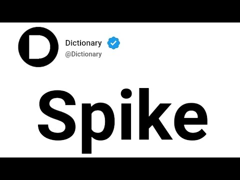 Spike Meaning In English