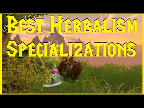 Retail WoW Dragonflight: Best Herbalism Specializations