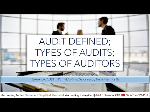 Audit Overview | Audit Defined | Types of Audits | Types of Auditors | Hermosilla, Tiu, Salosagcol