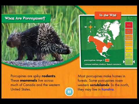 Porcupines / learn English learn to read/ nonfiction books