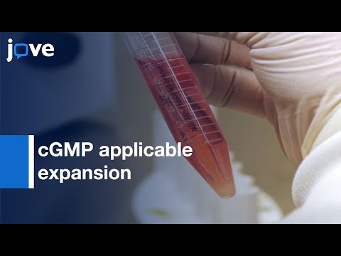 cGMP applicable expansion method for aggregates of Stem cells | Protocol Preview