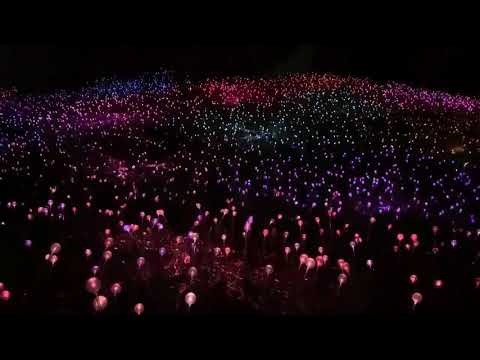 Bruce Munro's Field of Light at Sensorio - Paso Robles, CA - 8-7-20