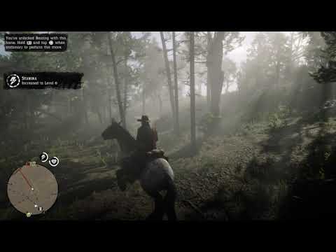 Steam Community :: Video :: Realistic RDR2 horse riding