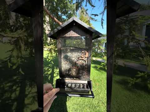 Squirrel Proof Bird Feeder, Large Capacity