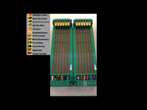 DAR Horse Racing: Season 2, Race #4- Original 6 Horses Continue Early ...