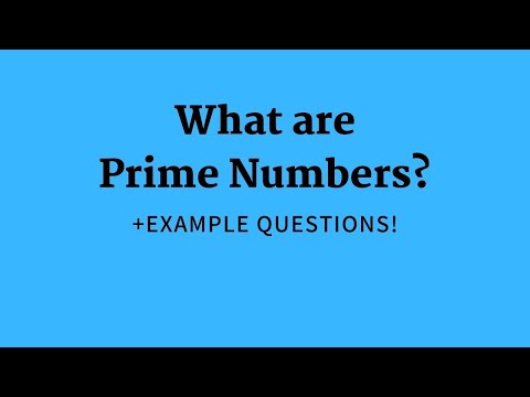 What are Prime Numbers? (KS2) + Example Questions
