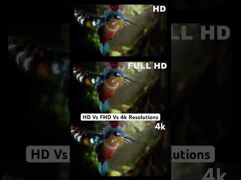 HD vs Full HD vs 4K: Decoding Screen Resolutions!