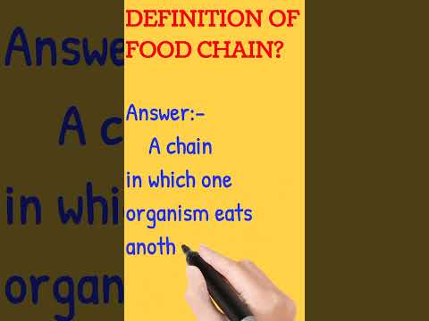 Definition of food chain