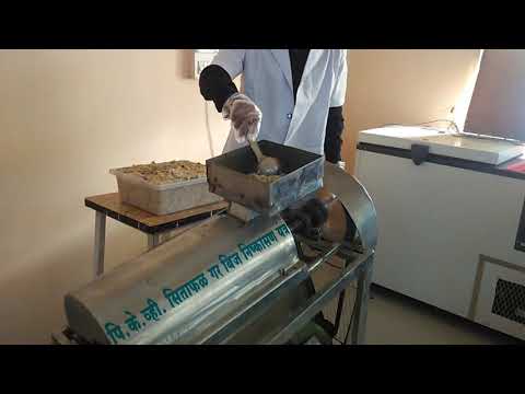 Pulping Machine at Best Price in India