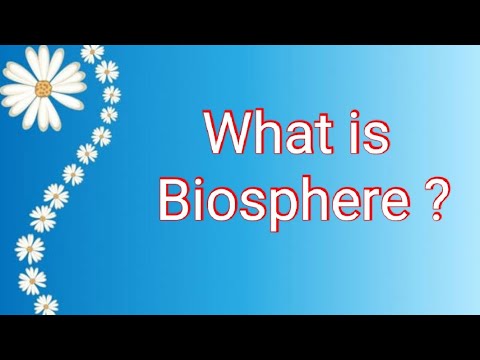 What is biosphere ? 2mark que | TWINKLE STAR S |