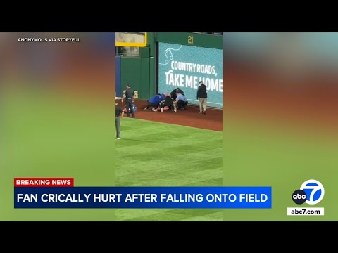 Fan falls from stands at PNC Park during Pirates-Cubs game