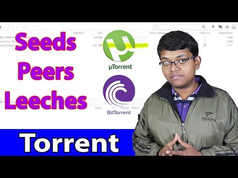 How Torrents Works? Seeds, Peers, Leeches Explained | Peer to Peer Network Explained In Hindi