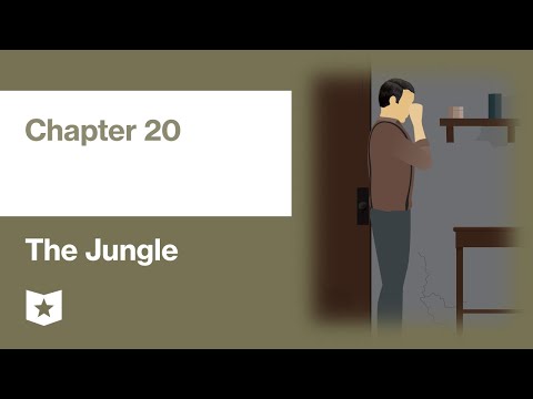 The Jungle Study Guide | Course Hero