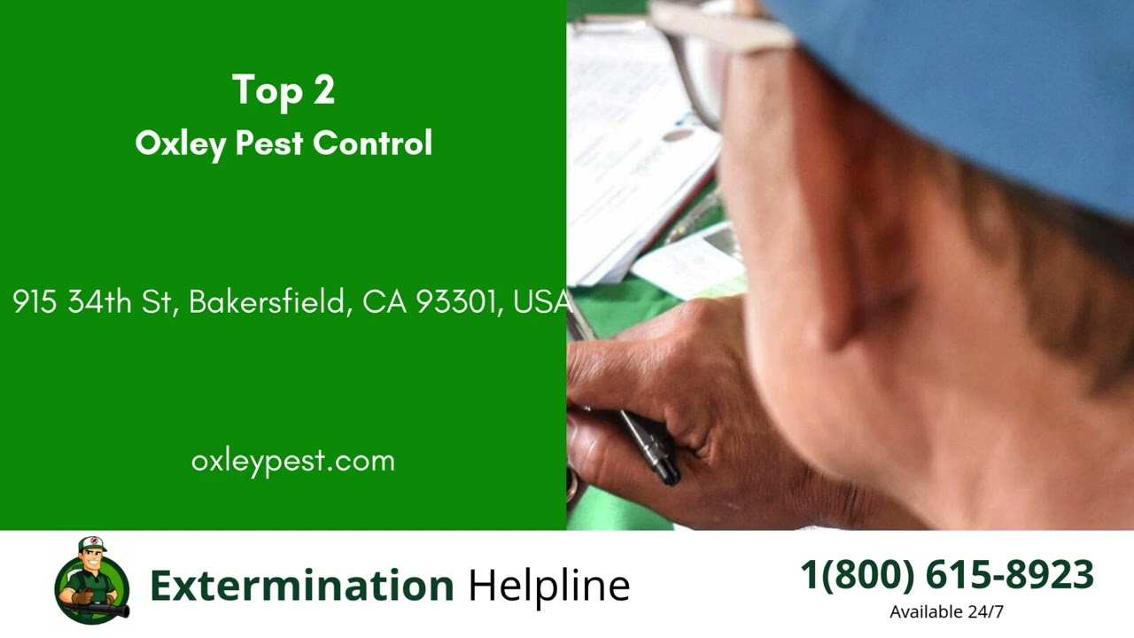 Top 3 Exterminators in Bakersfield