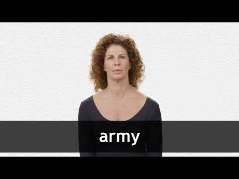 ARMY definition and meaning | Collins English Dictionary