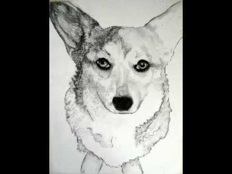 The Frannie Process 2 (Art Morph)