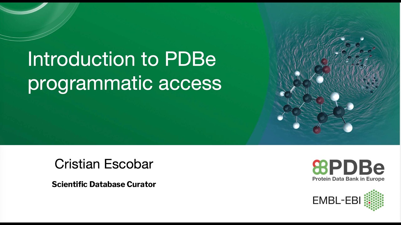 Introduction to PDBe programmatic access