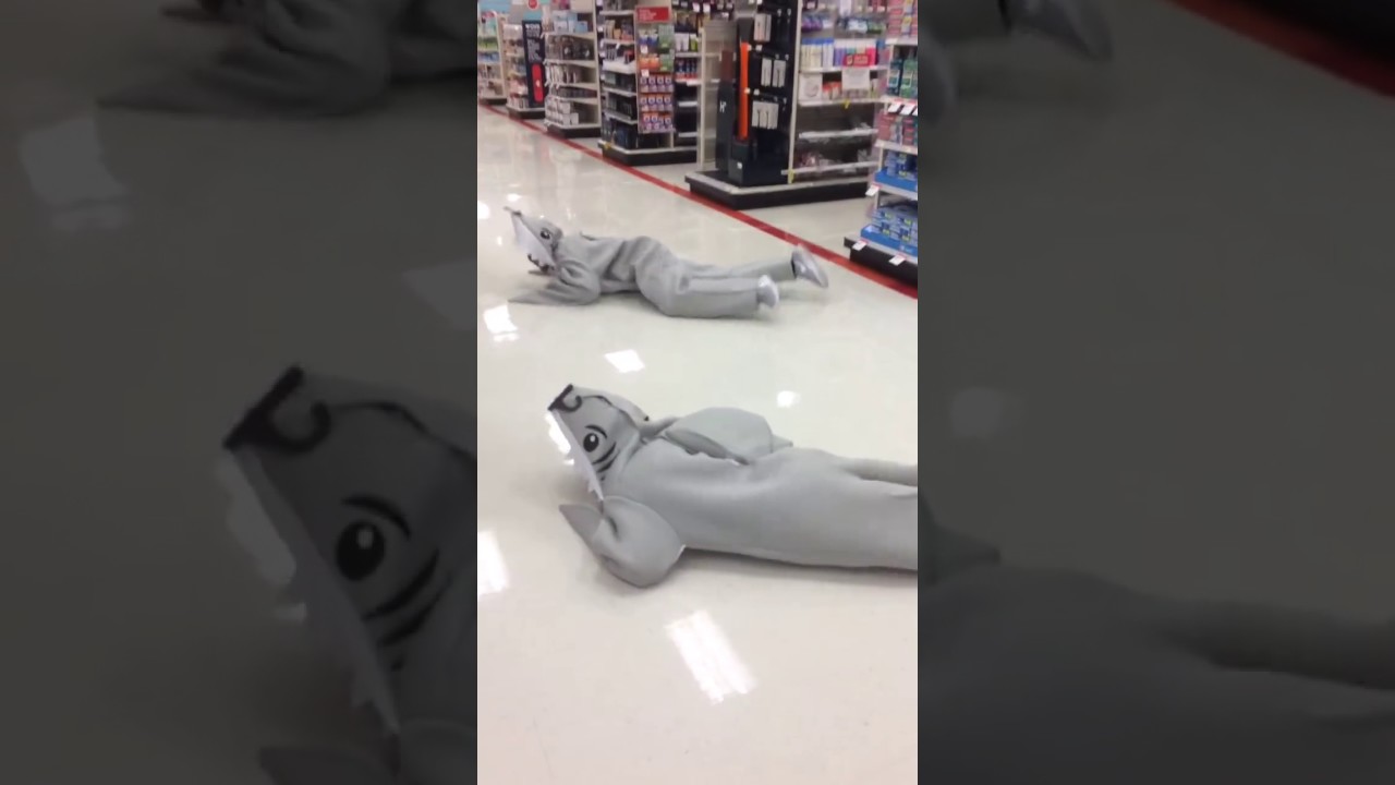 Sharks Wander Store