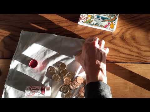 Symbungees coin/Schrodingers cat