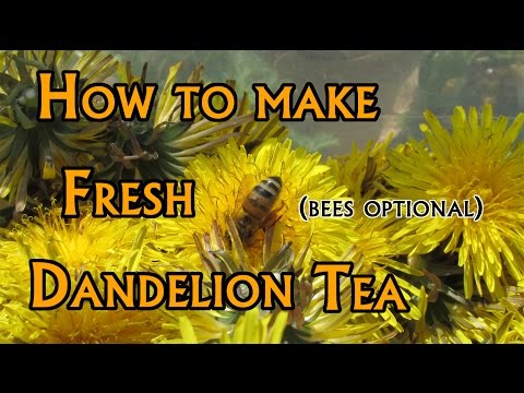 How to: Make Dandelion Tea