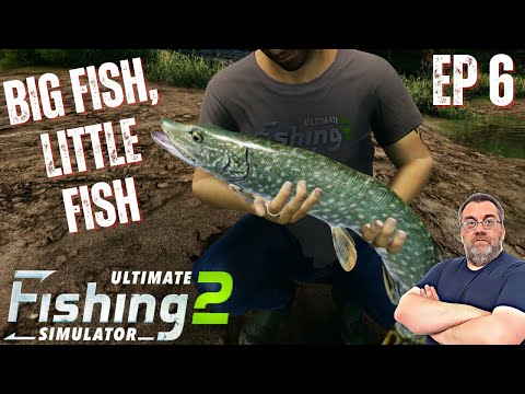 Steam Community :: Video :: Big Fish, Little Fish | Lets Play Ultimate ...