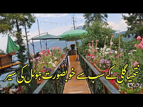 Nathia Gali Hotel Alpine Visit | Alpine Hotel Restaurant Experience