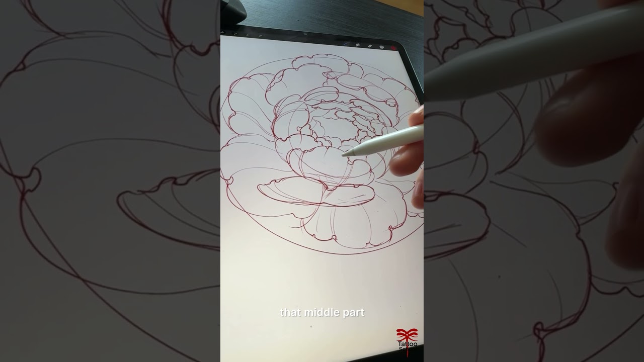 How to draw peonies ?