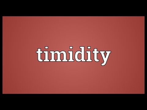 Timidity Meaning