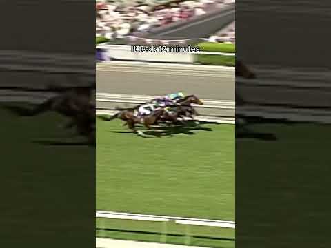 A First Dead Heat In Breeders’ Cup History… 😬 #HIGHCHAPARRAL #BC23