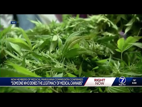 'Someone who denies the legitimacy of medical cannabis': New members of medical marijuana commiss...