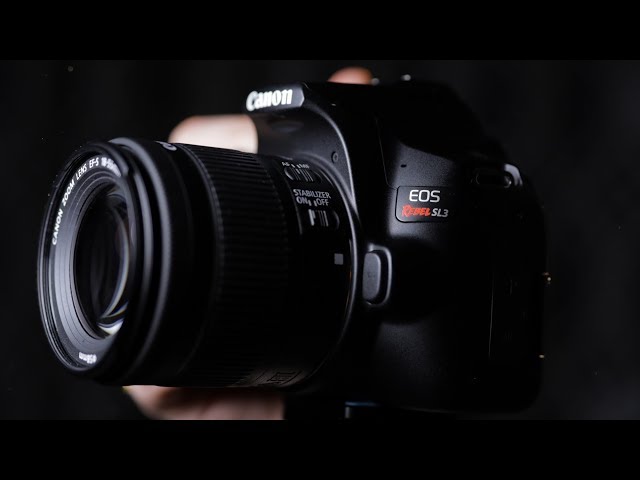 5 best DSLR cameras for beginners
