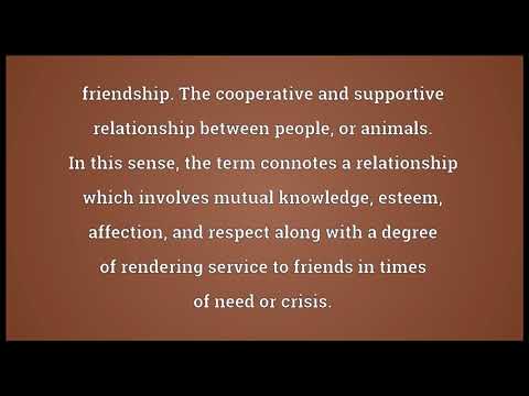 Amity Meaning