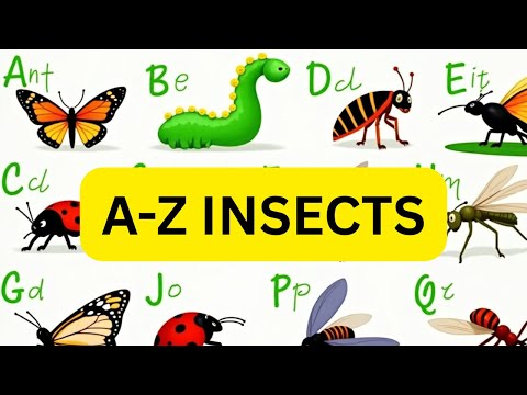 A-Z INSETCS RHYMES FOR KIDS//NURSERY RHYMES/Learn Insects with Fun Songs and Rhymes