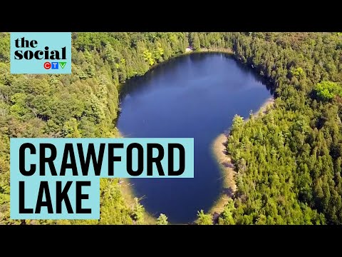 The significance of Crawford Lake | The Social