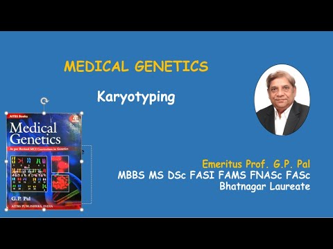 4. Chromosome Analysis Karyotyping