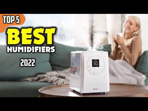 Best Humidifier 2022 🎯 Top 5 for Cleaner, Healthier Air!