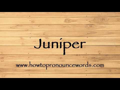 How To Pronounce Juniper ? How To say Juniper New Video