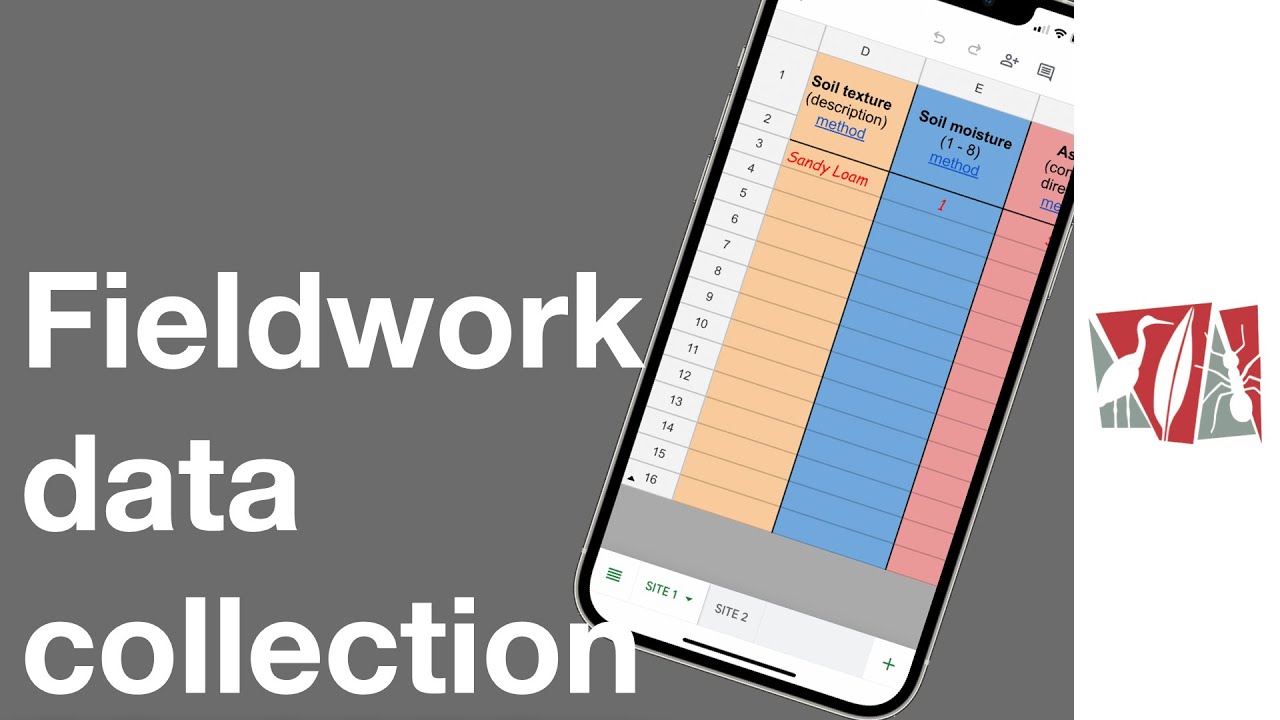 Fieldwork data collection