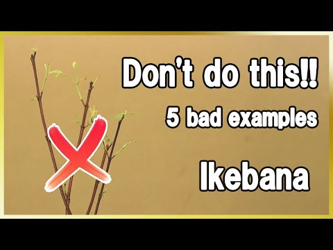 Ikebana Tutorial | Manners in Ikebana | Learn the Manners You Will Need